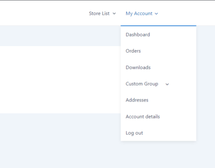 Enable My Account navigation menu widget in any theme - SysBasics